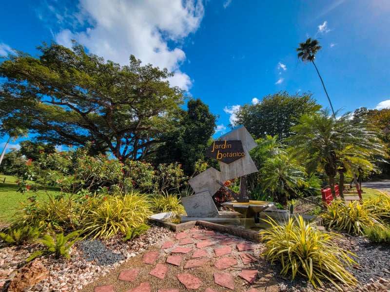 Botanical Gardens In Puerto Rico