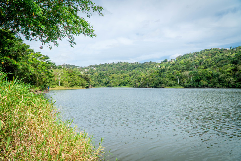 Lago Carraízo | Discover Puerto Rico