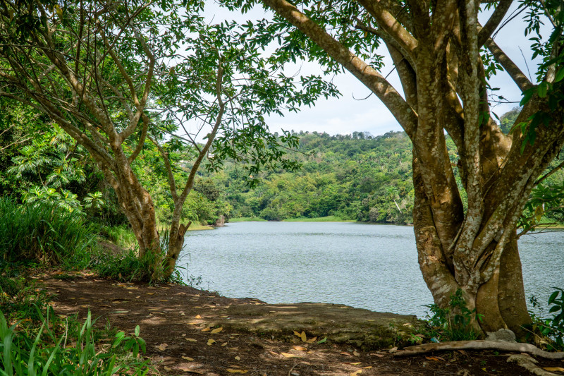 Lago Carraízo | Discover Puerto Rico
