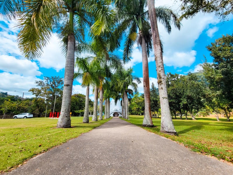Museo El Cemí | Discover Puerto Rico