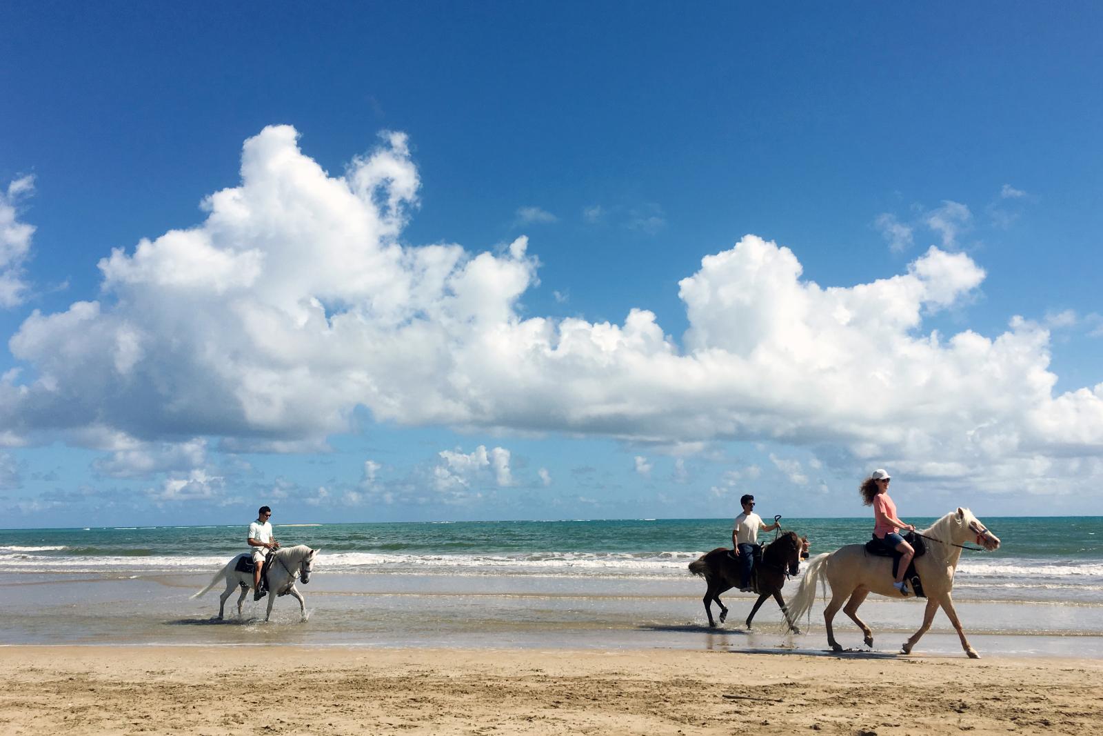 horseback-riding-carabali-dmc.jpg | Discover Puerto Rico
