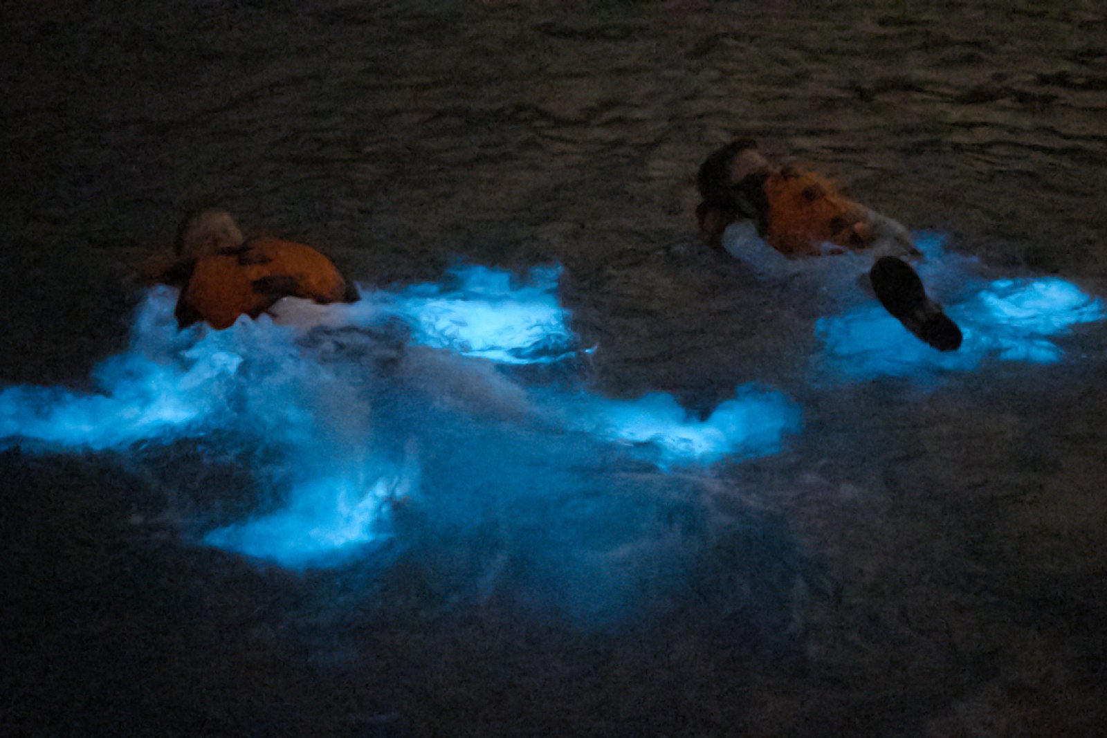 La Parguera Bio Bay | Discover Puerto Rico