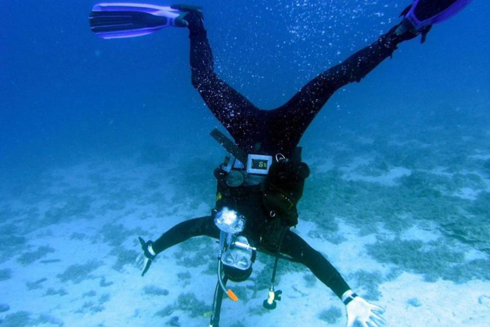 Diving Puerto Rico! | Discover Puerto Rico