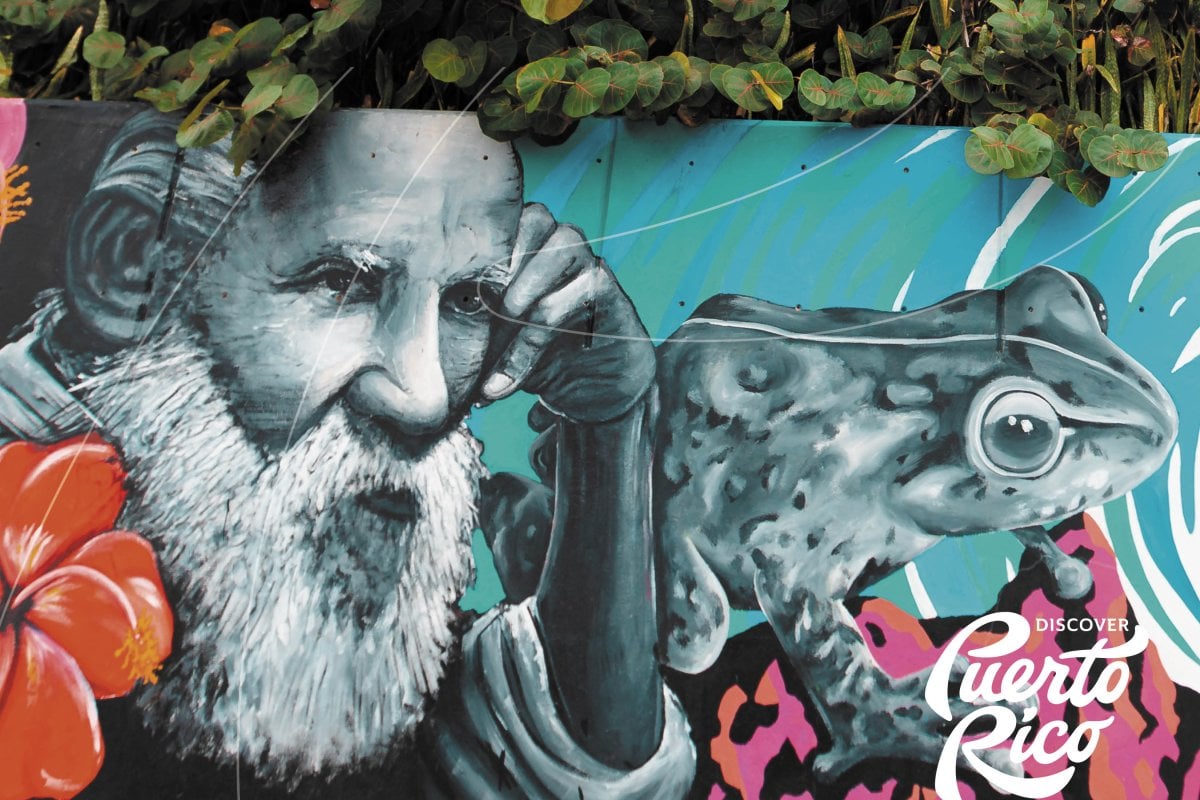 Virtual Puzzles | Discover Puerto Rico