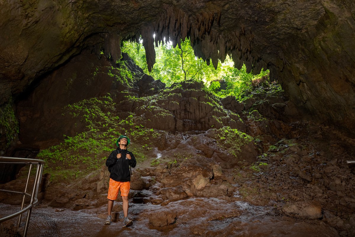 Explora el Parque Nacional de las Cavernas del Río Camuy