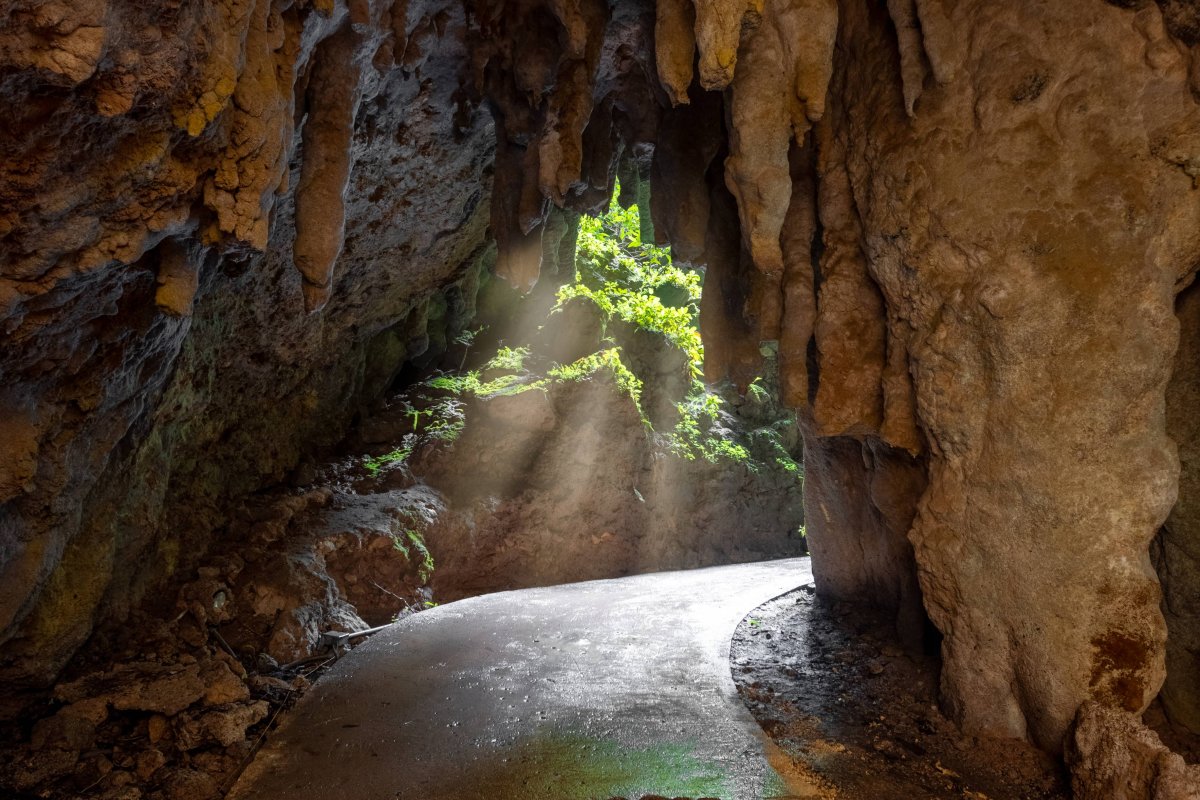 Explora el Parque Nacional de las Cavernas del Río Camuy
