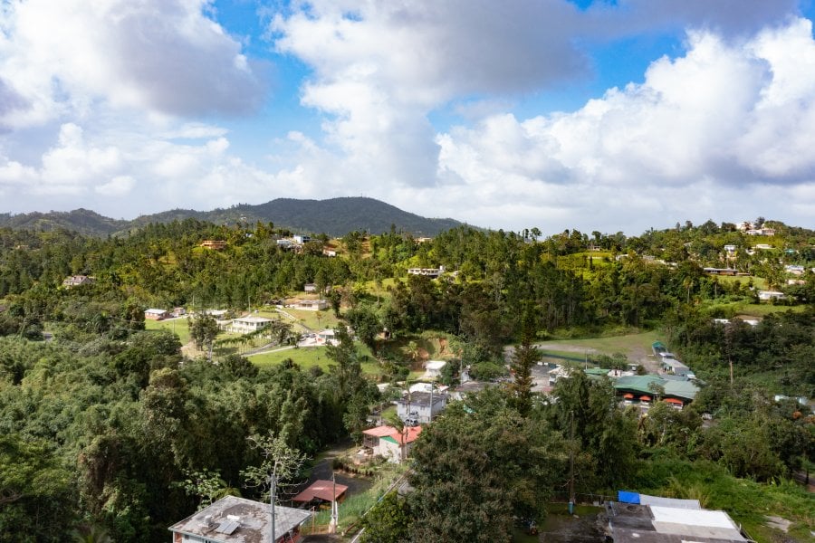 Chef Natalia Vallejo: Honoring Puerto Rico Through Every Dish at Cocina ...