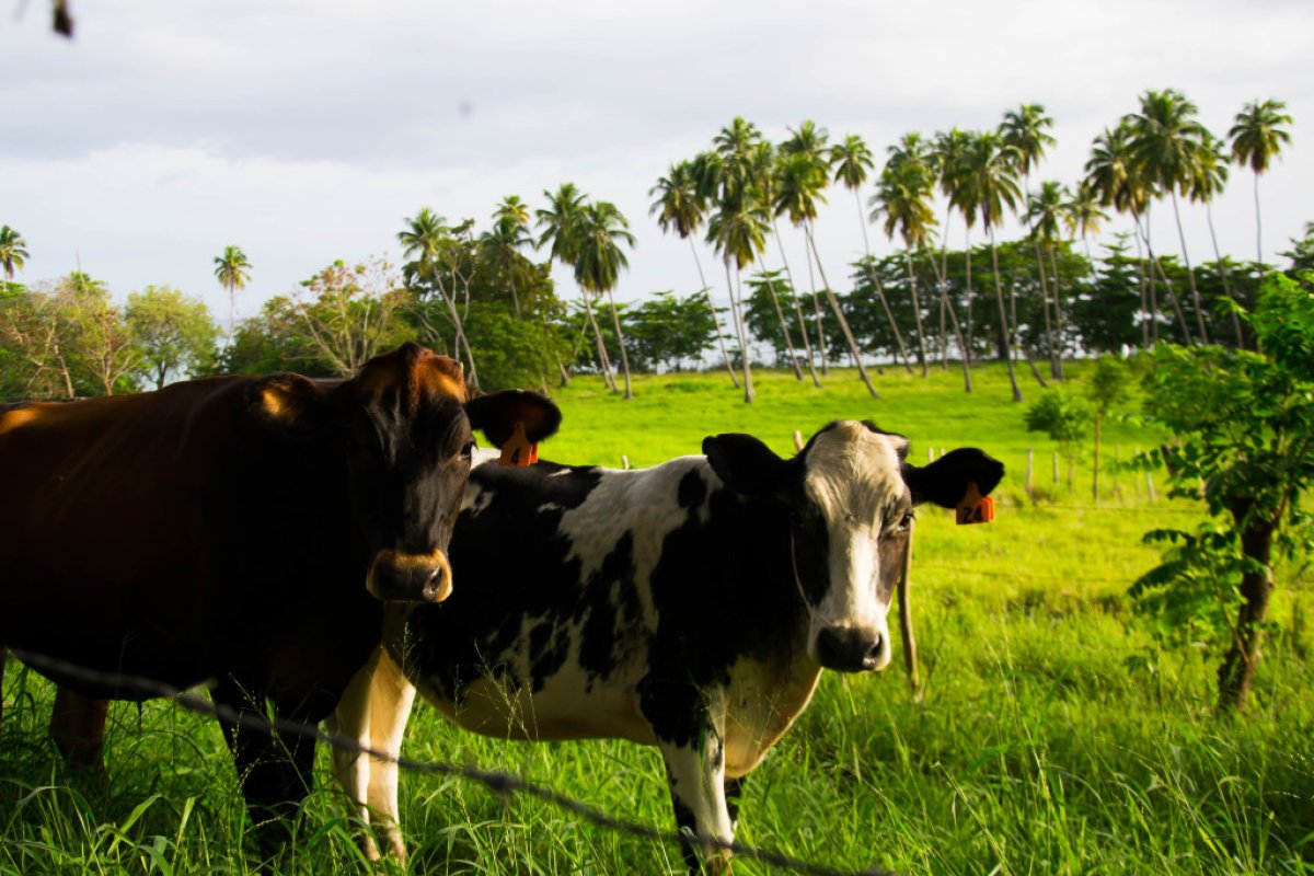 Ecotourism Experiences in Puerto Rico | Discover Puerto Rico