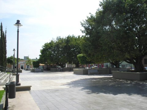 Bobby Capo Family Tree Clearance | dntu.edu.vn