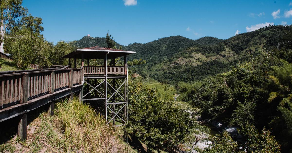 La Ruta Taína y la cultura indígena en Puerto Rico | Discover Puerto Rico