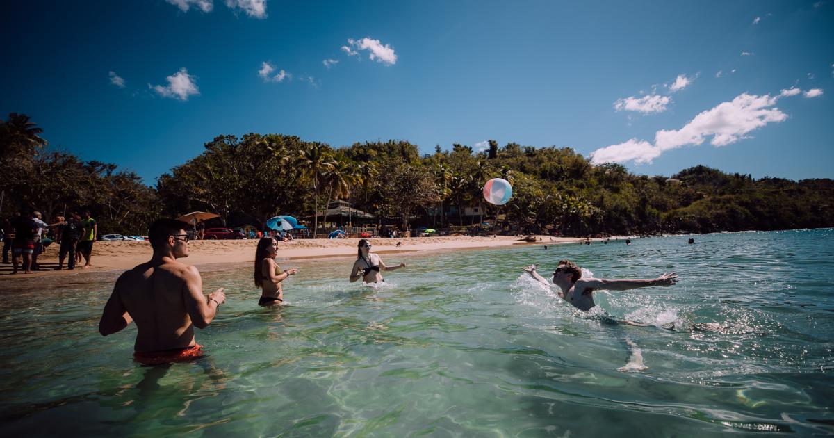 Group Experiences | Discover Puerto Rico