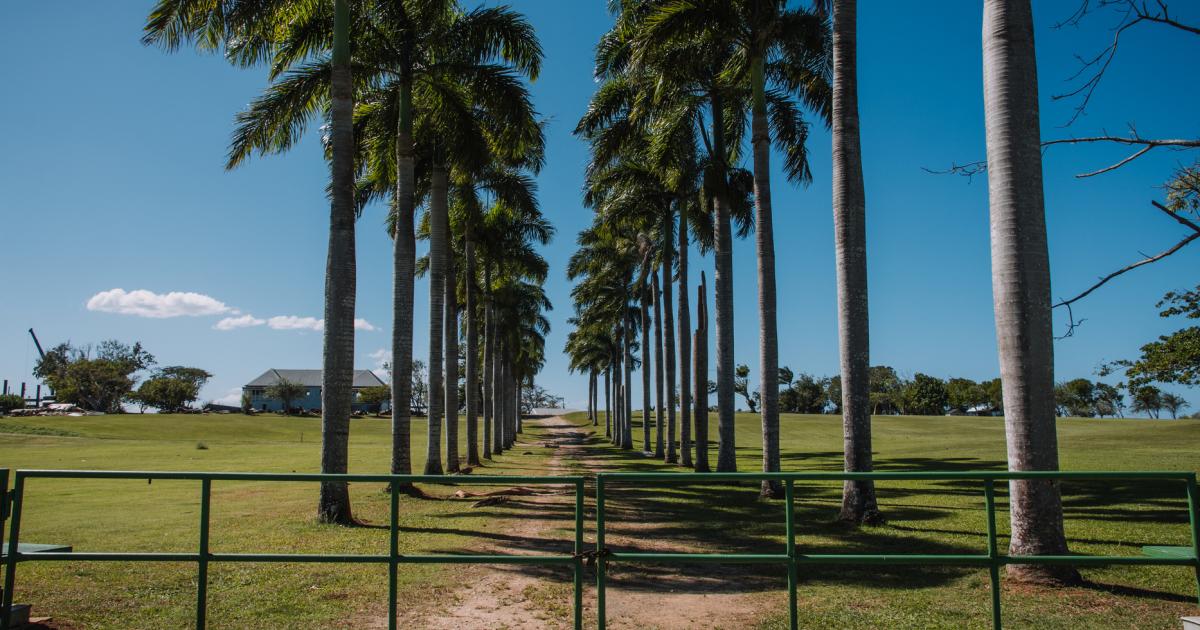 Things to Do in Manatí | Discover Puerto Rico