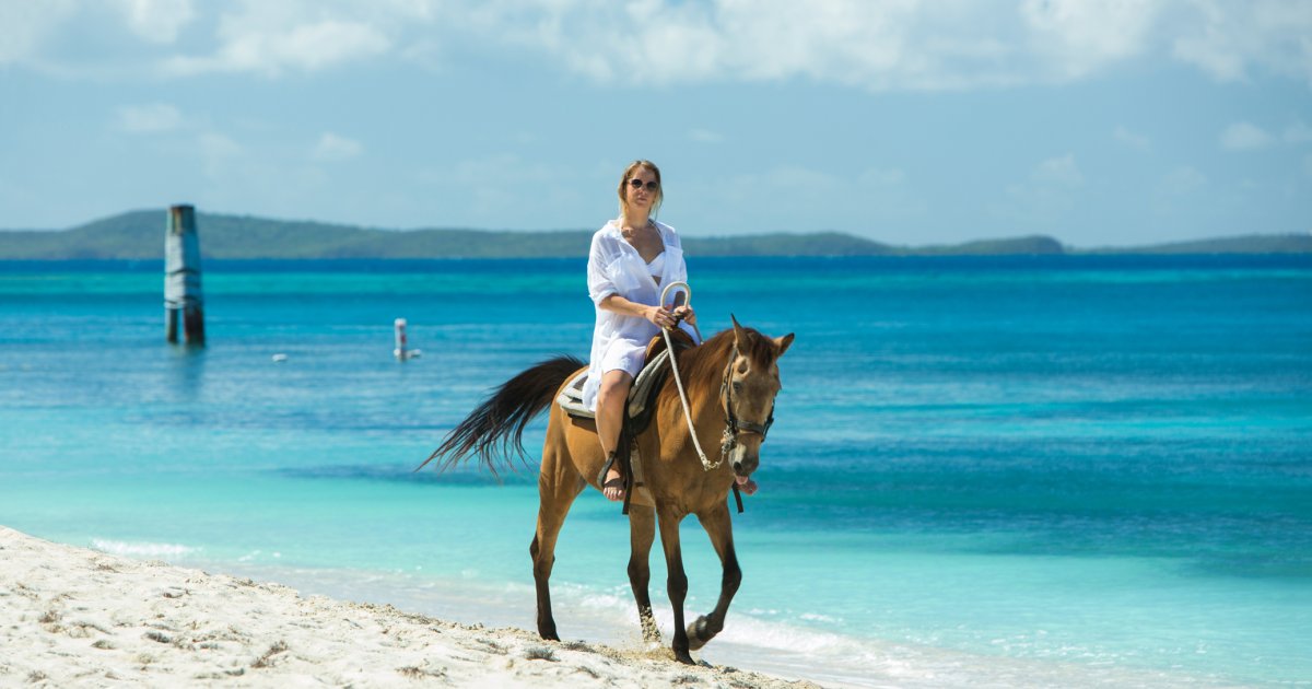 Horseback Riding in Puerto Rico | Discover Puerto Rico