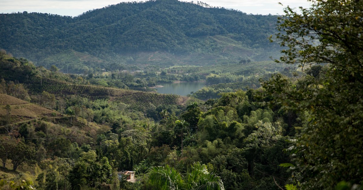 Lares | Discover Puerto Rico
