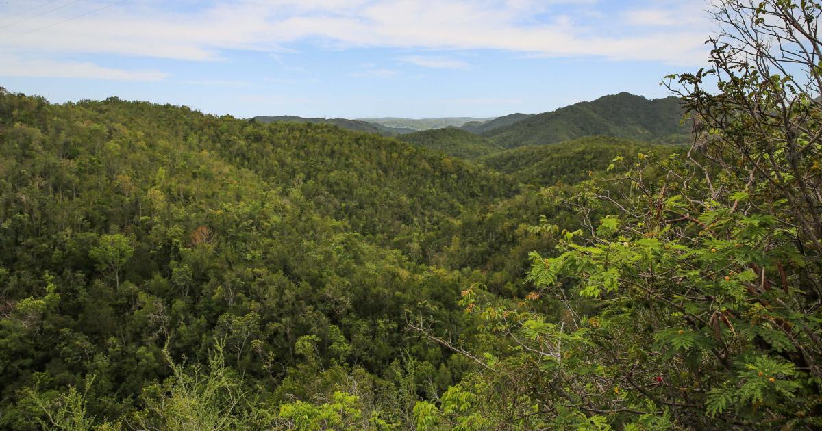 Sabana Grande | West Region | Discover Puerto Rico