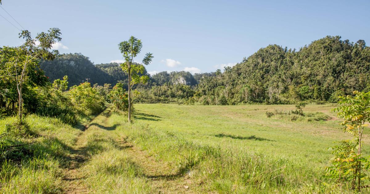 Florida | North Region | Discover Puerto Rico