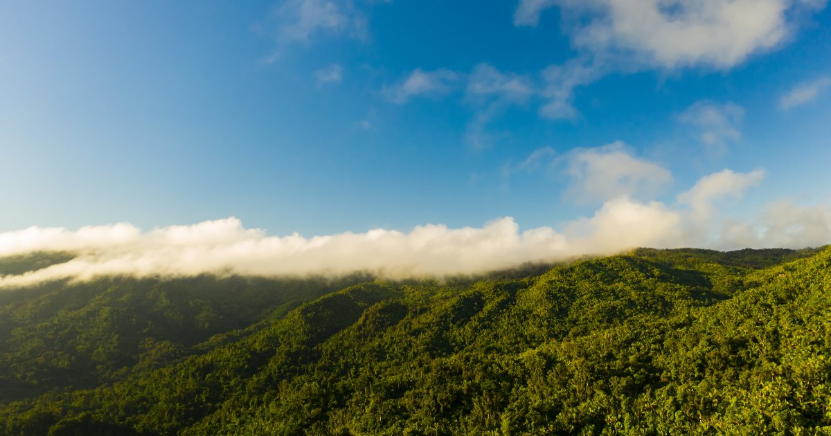 Things to Do in Río Grande | Discover Puerto Rico