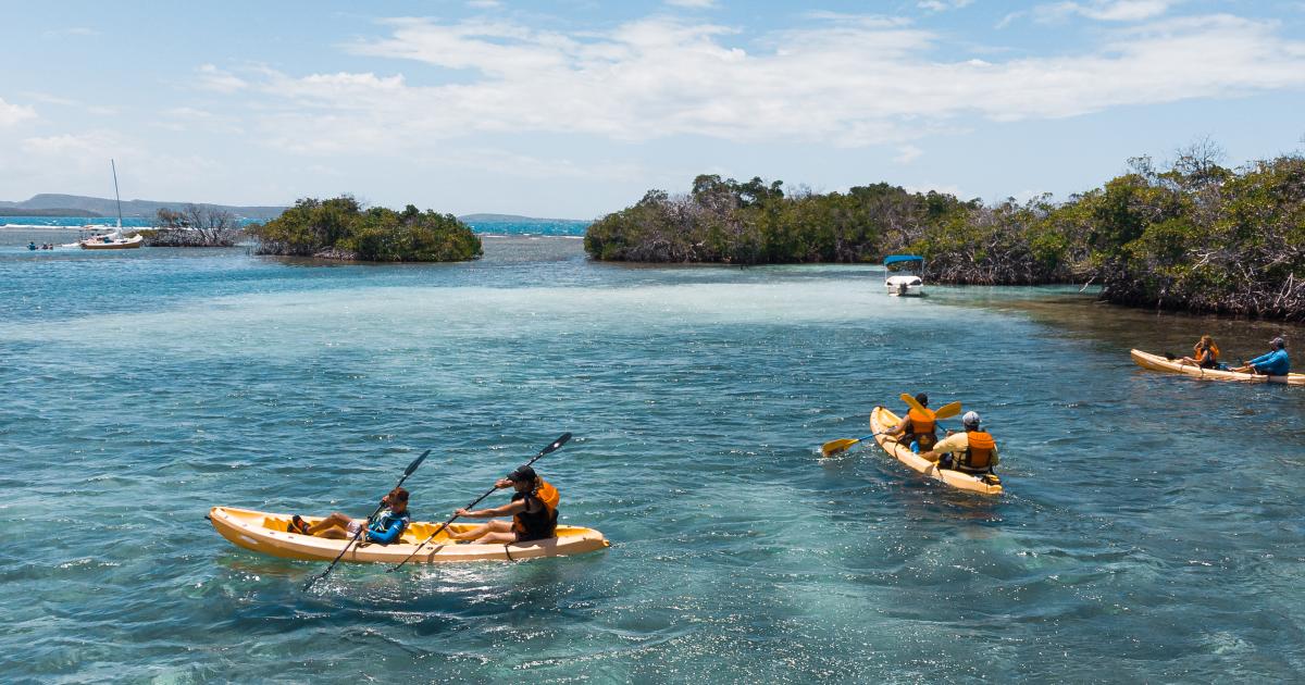 Kayaking | Things to do in Puerto Rico