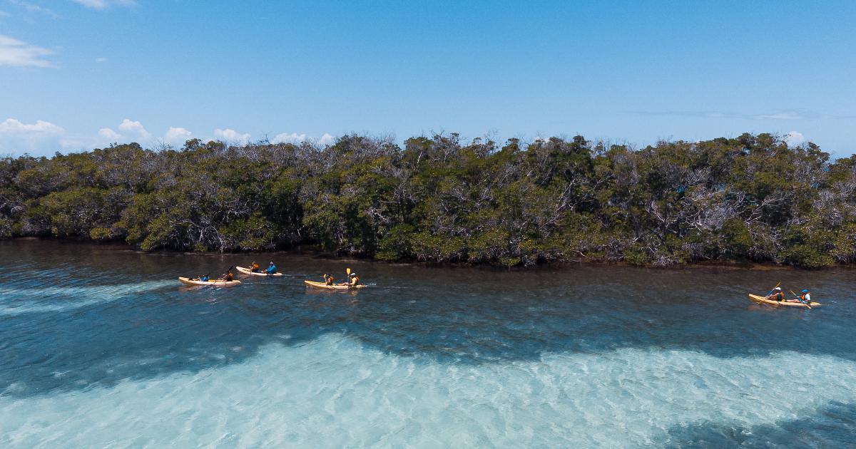 Lajas | West Region | Discover Puerto Rico