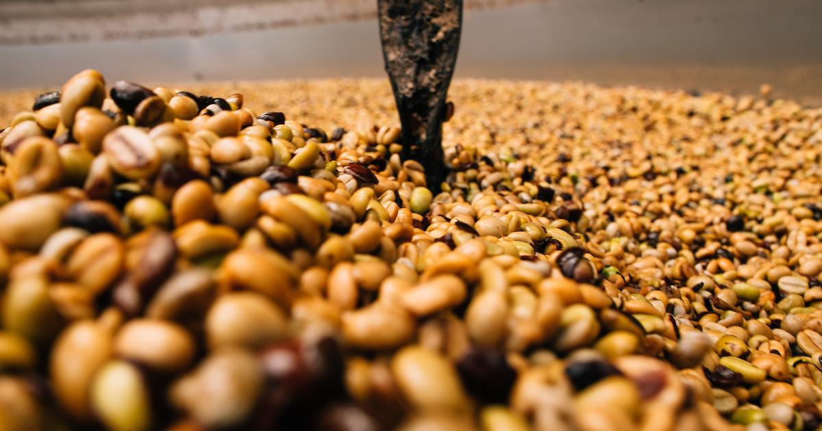 Where to Taste Puerto Rican Coffee | Discover Puerto Rico