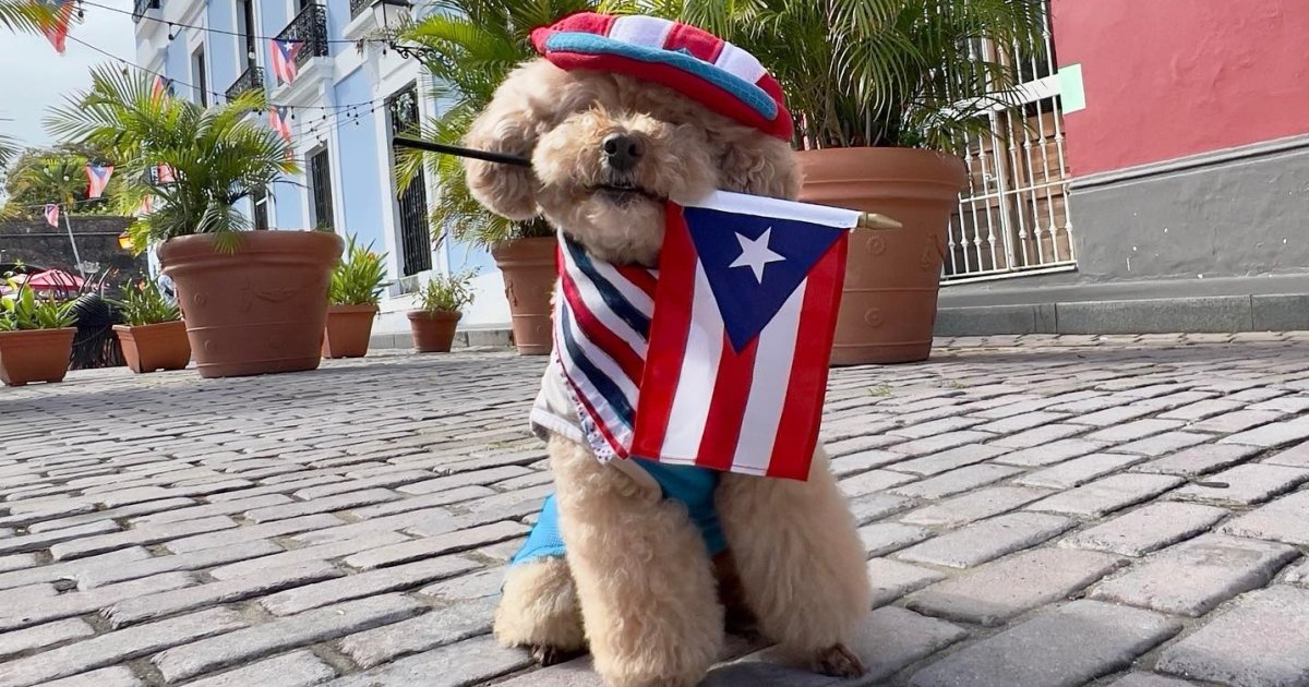 Things to Do in Puerto Rico
