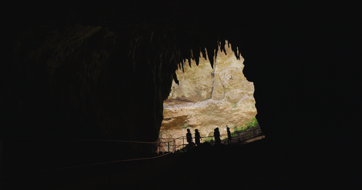 Explora el Parque de las Cavernas de Camuy | Discover Puerto Rico