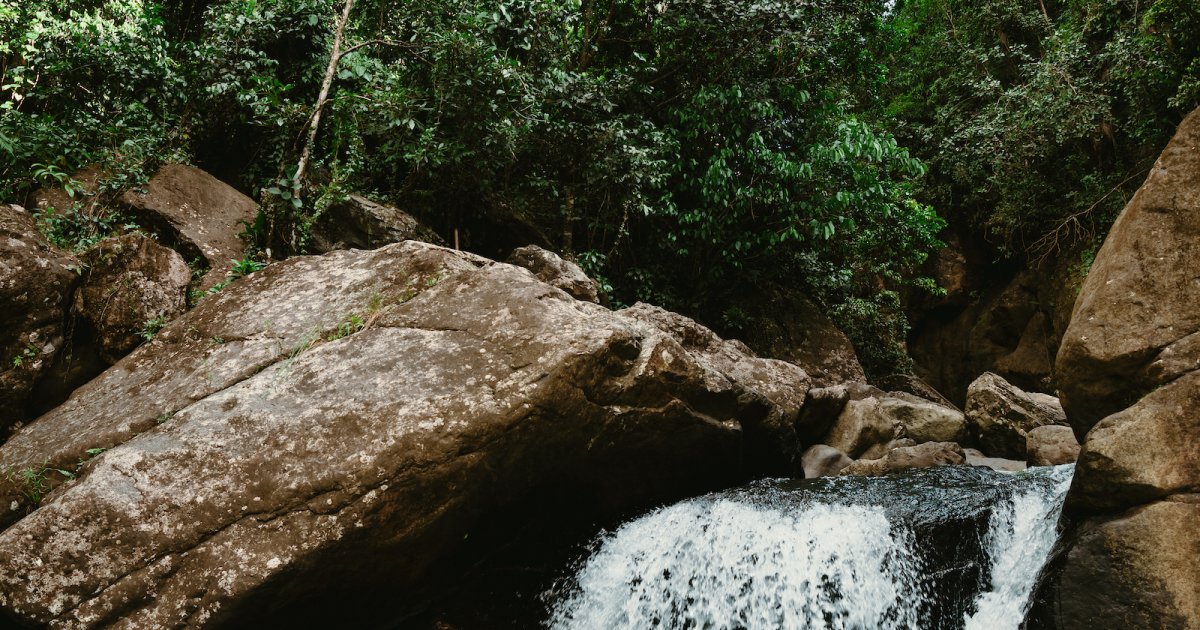 Live Boricua | Discover Puerto Rico