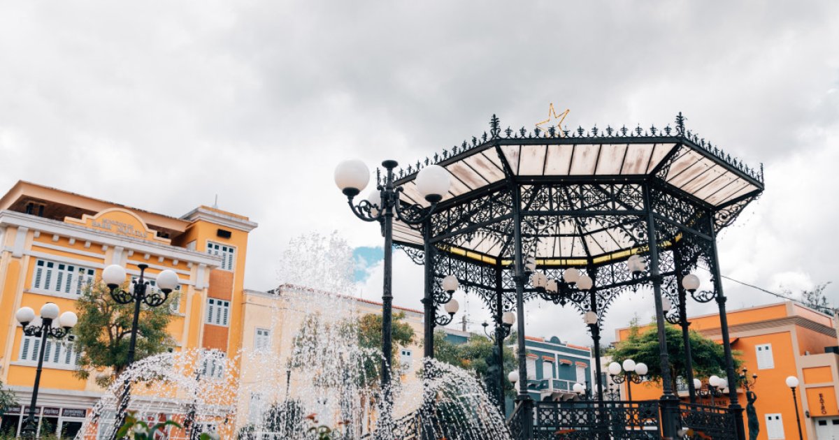 Apio Festival | Discover Puerto Rico