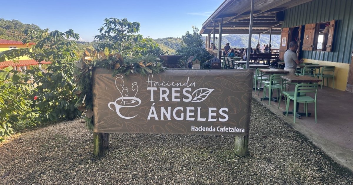 6ta Fiesta del Acabe del Café | Discover Puerto Rico