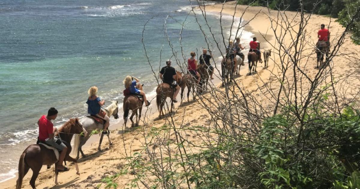 Colón Horse Riding | Discover Puerto Rico