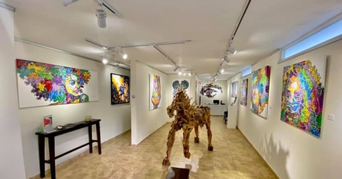 D' galeria | Discover Puerto Rico