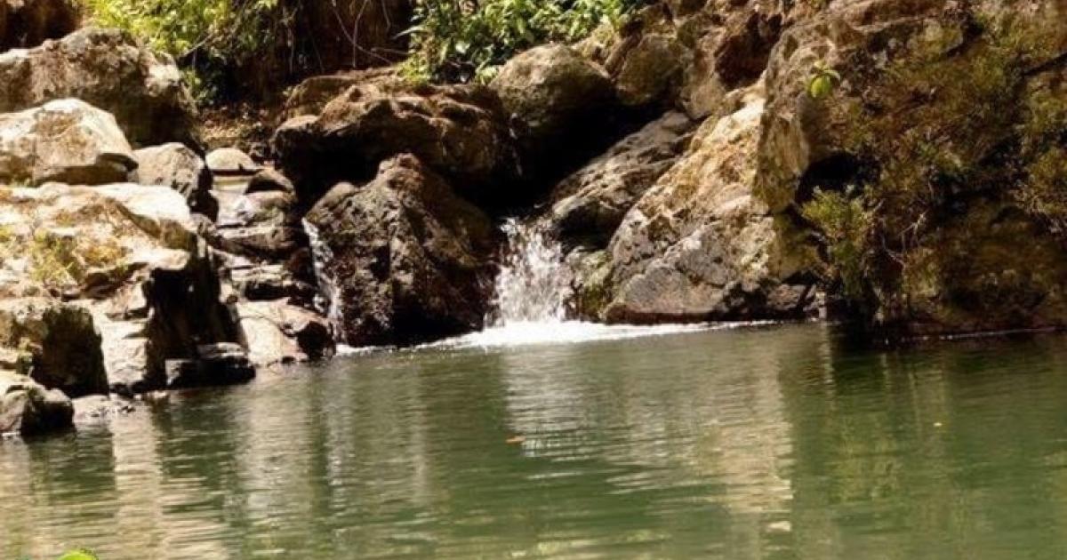 Camping Site - Toro Negro State Forest | Discover Puerto Rico