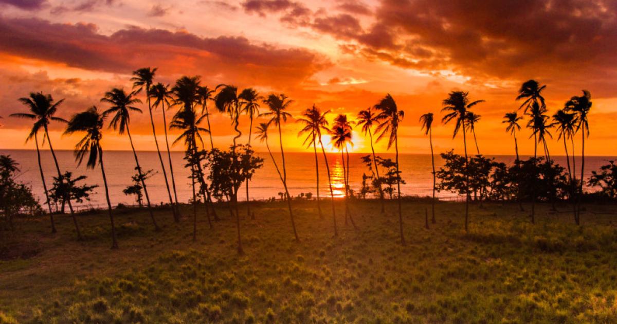 Tres Palmas Marine Reserve | Discover Puerto Rico