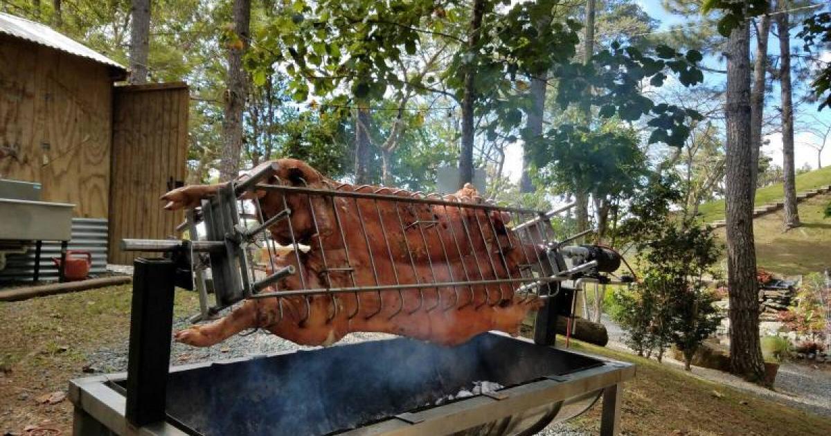 Lechones To Go | Discover Puerto Rico