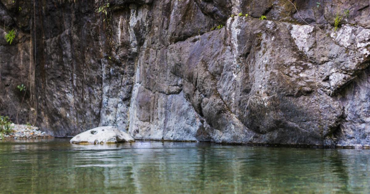 La Charca Aqua | Discover Puerto Rico