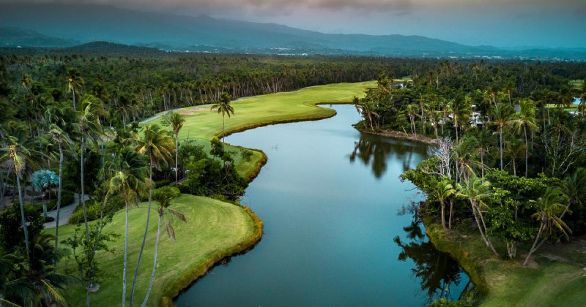 Bahia Beach Golf Club | Discover Puerto Rico