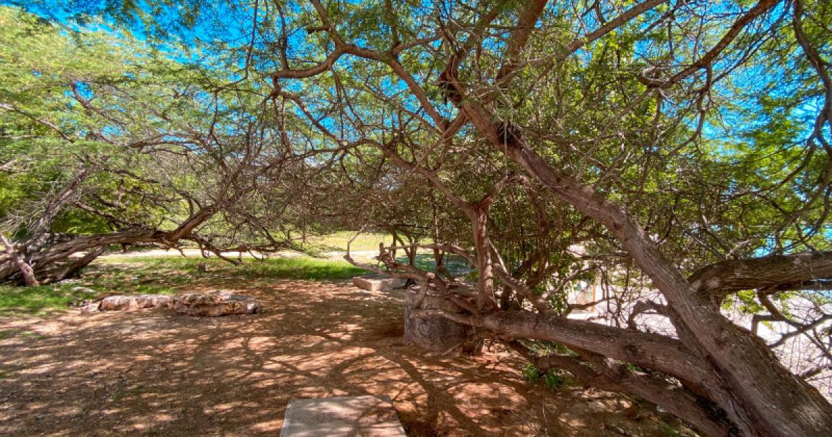Playa Santa Área de Acampar | Discover Puerto Rico