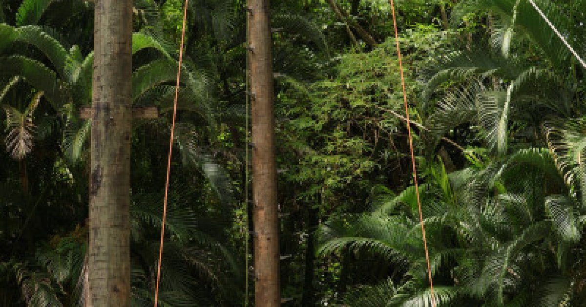 Beyond Team Building | Discover Puerto Rico