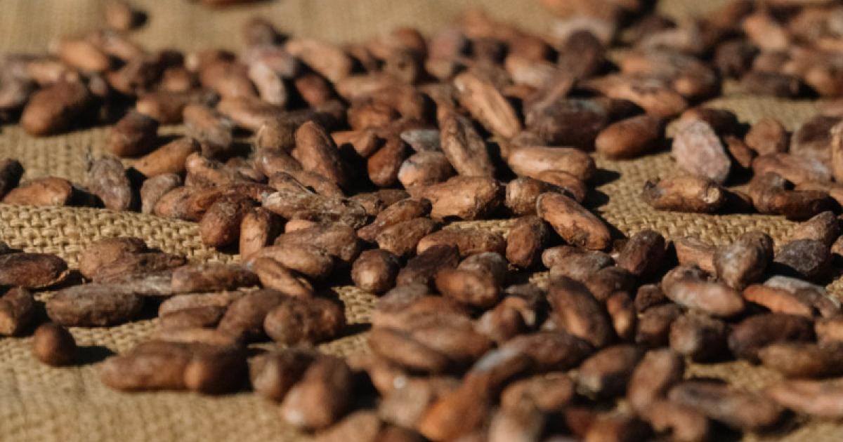 Café Finca Cialitos | Discover Puerto Rico