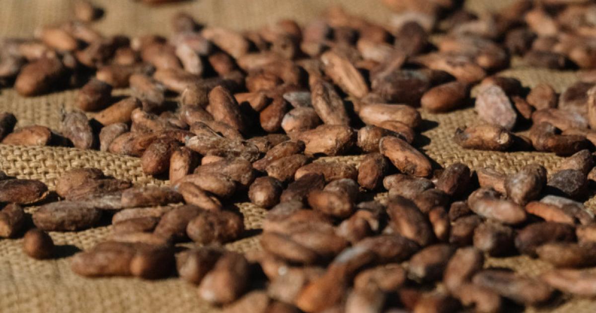 Coffee Break Winner | Discover Puerto Rico