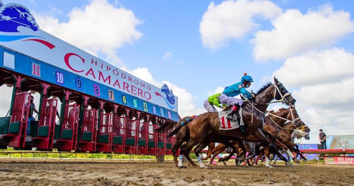 Hipódromo Camarero | Discover Puerto Rico