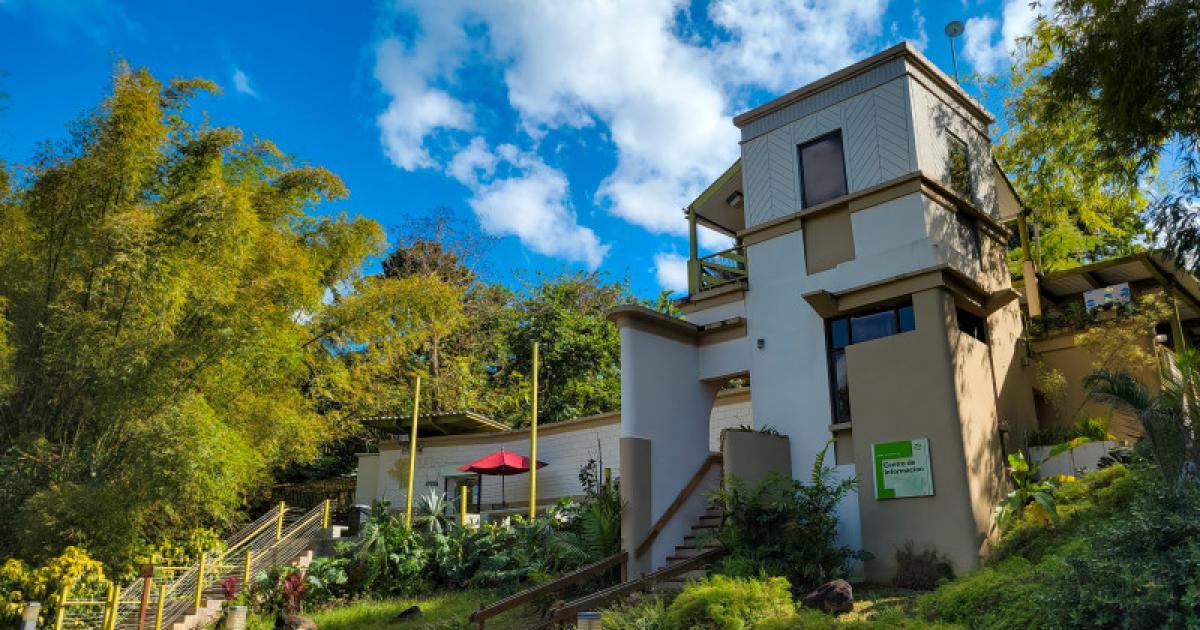 Jardín Botánico de la Universidad de Puerto Rico | Discover Puerto Rico