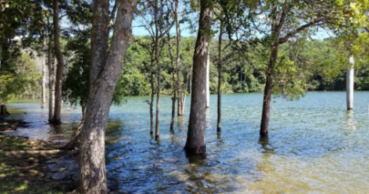 Refugio Vida Silvestre, Embalse Guajataca | Discover Puerto Rico