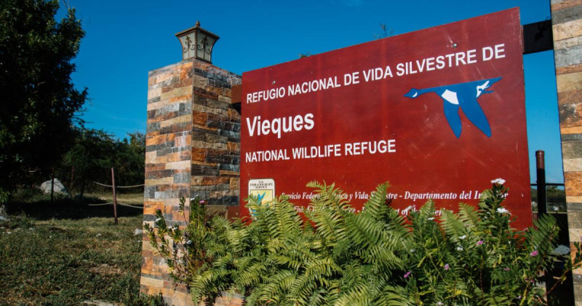 Vieques National Wildlife Refuge | Discover Puerto Rico