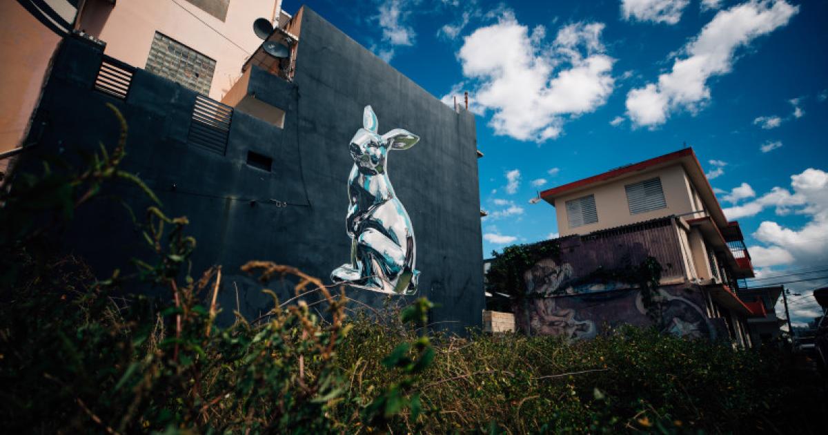 Chrome Rabbit by Bikismo | Discover Puerto Rico