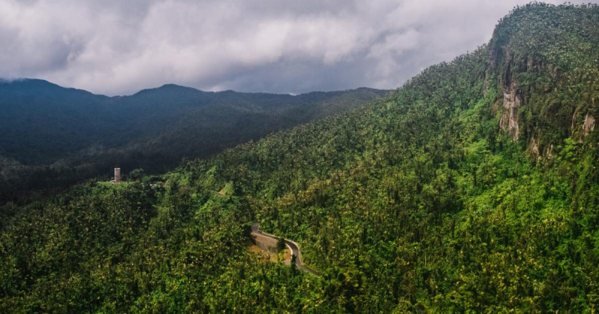 Mt. Britton Tower | Discover Puerto Rico