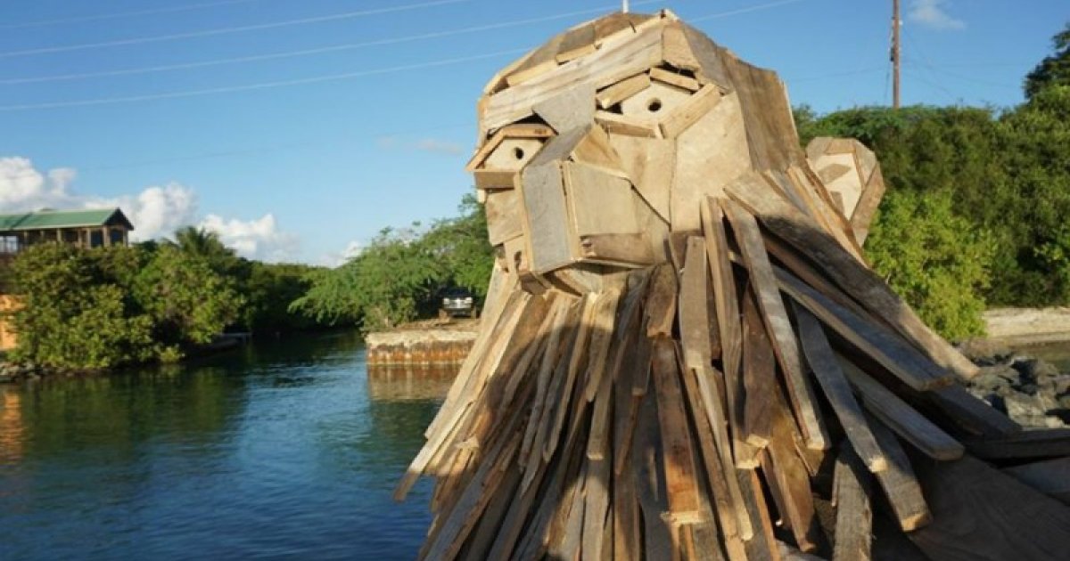 Hector El Protector | Discover Puerto Rico