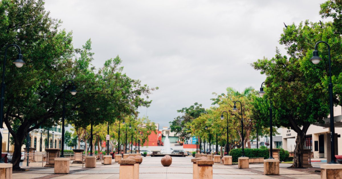 Paseo de los Artistas | Discover Puerto Rico