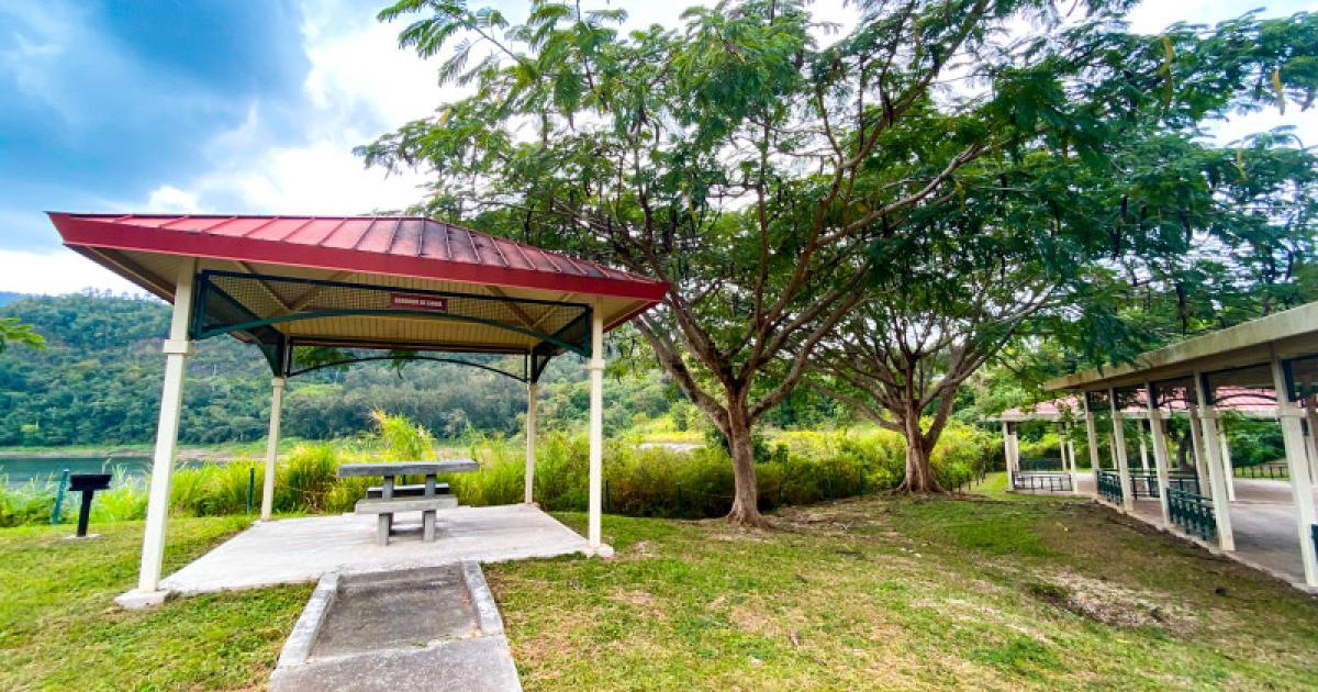 Área Recreativa del Lago Cerrillos | Discover Puerto Rico