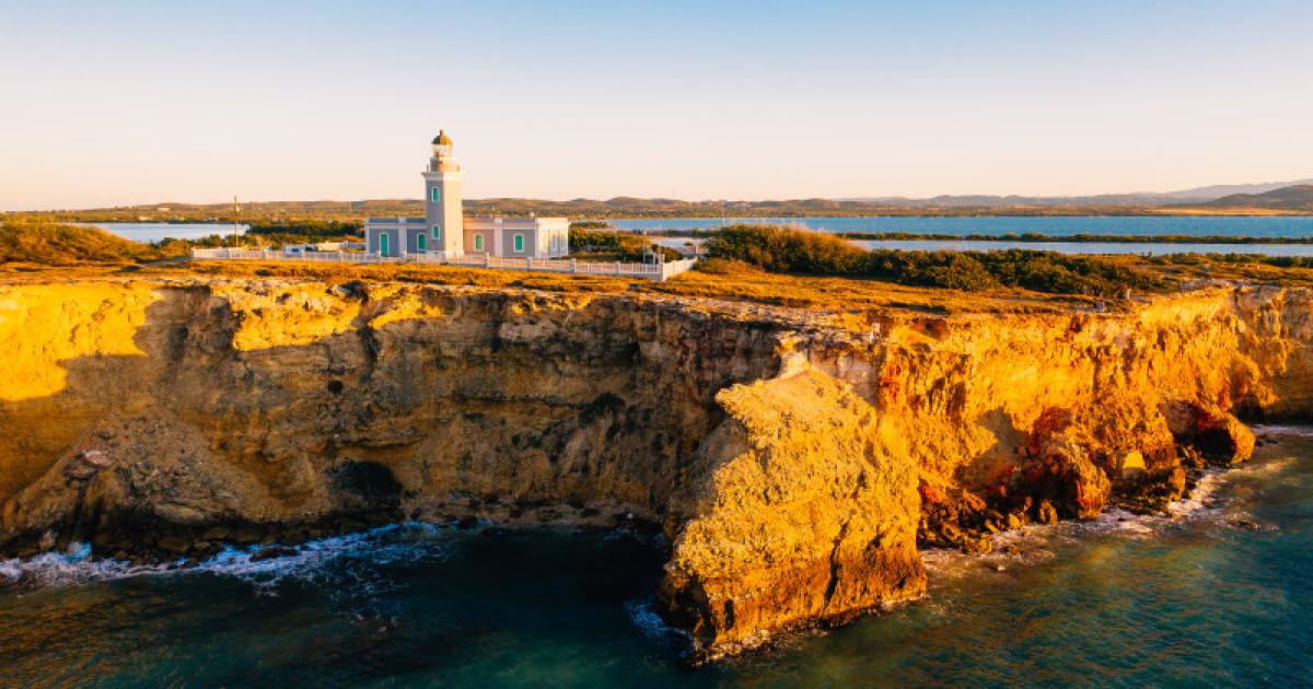 Bosque Estatal de Boquerón | Discover Puerto Rico